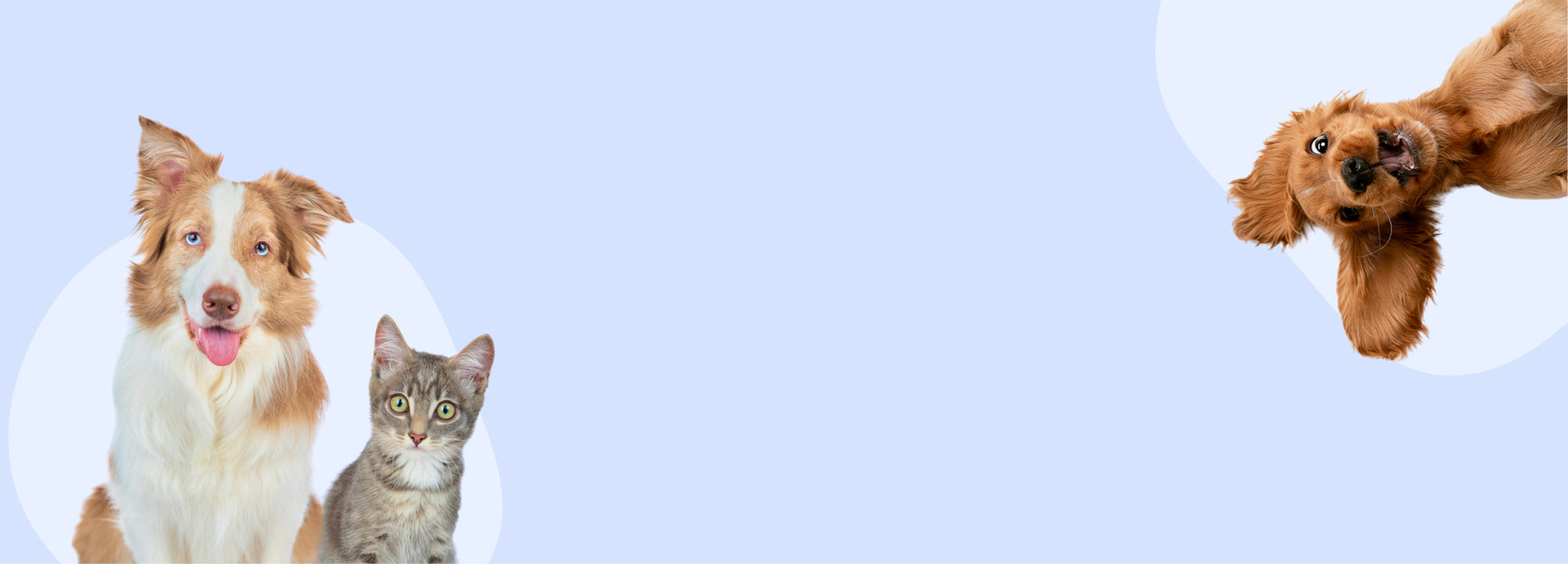 Tienda de piensos | Lobo Azul