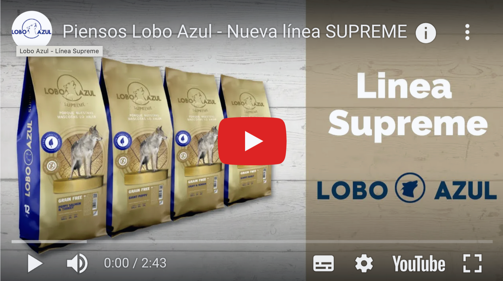 Quienes somos – Lobo Azul